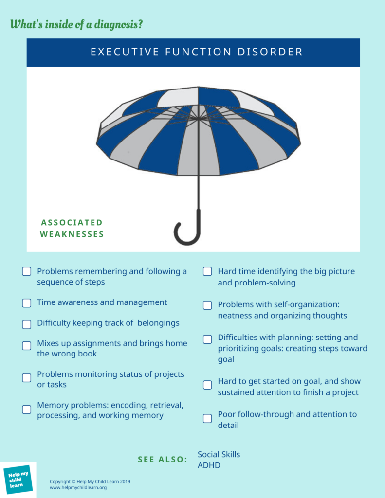 What's inside of an Executive Function Disorder? - Help My Child Learn